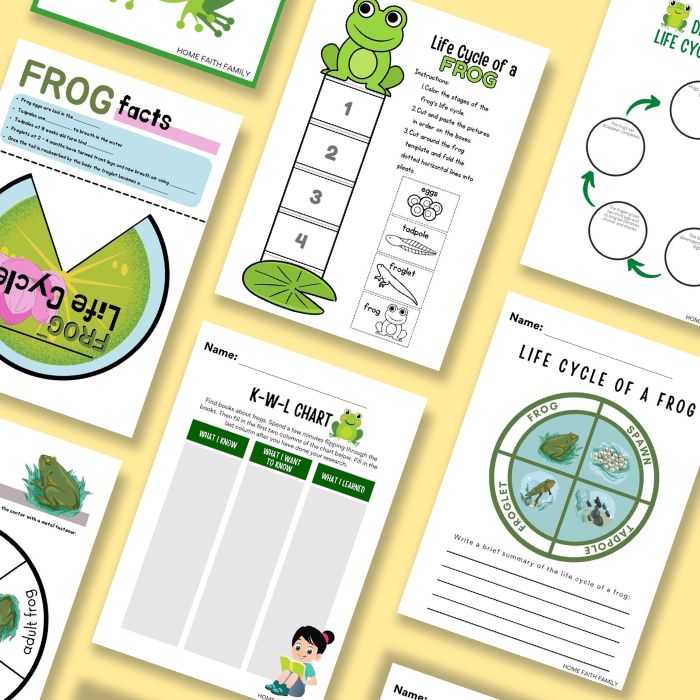 Hop, Skip, and Jump into Science: Frog Life Cycle Adventure for Kids ...