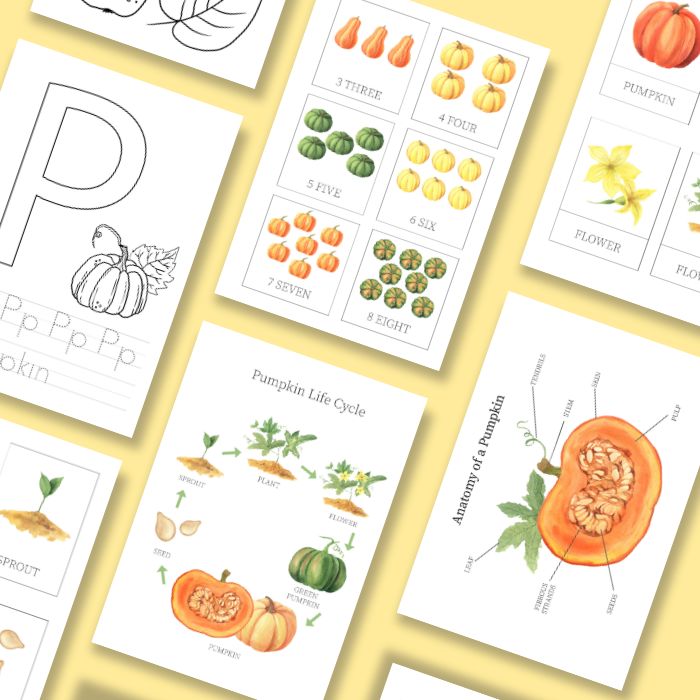 The Ultimate Pumpkin Life Cycle Unit Study for Kids – Home Faith Family ...