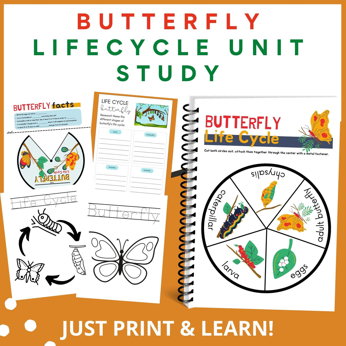 Butterfly Life Cycle Unit Study (7-Pages) – Home Faith Family , LLC