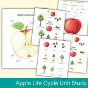 Explore Nature's Journey with the Apple Life Cycle Unit Study – Home ...