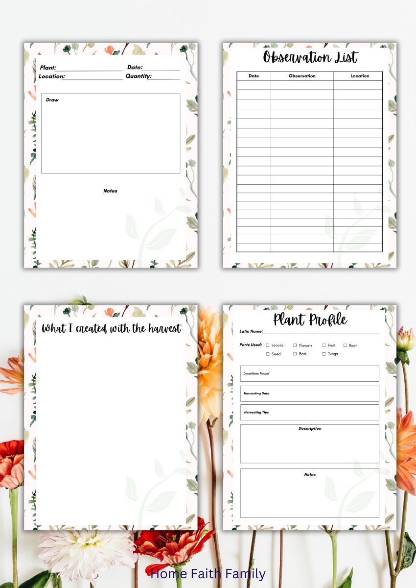 Capture Your Wild Discoveries: The Foraging Journal – Home Faith Family ...