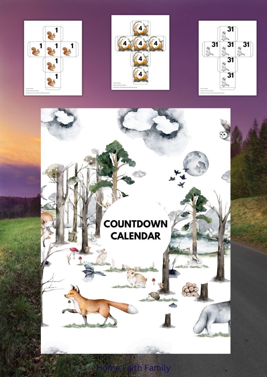 Embark on a Wild Adventure with Our Countdown Calendar Animal Cubes ...